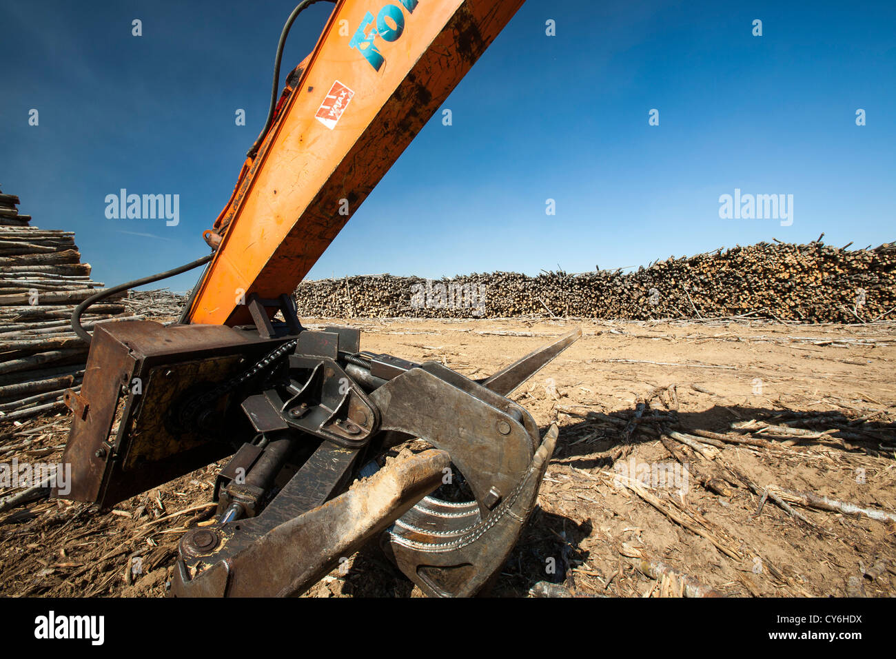 Boreal forest trees clear felled to make way for a new tar sands mine ...