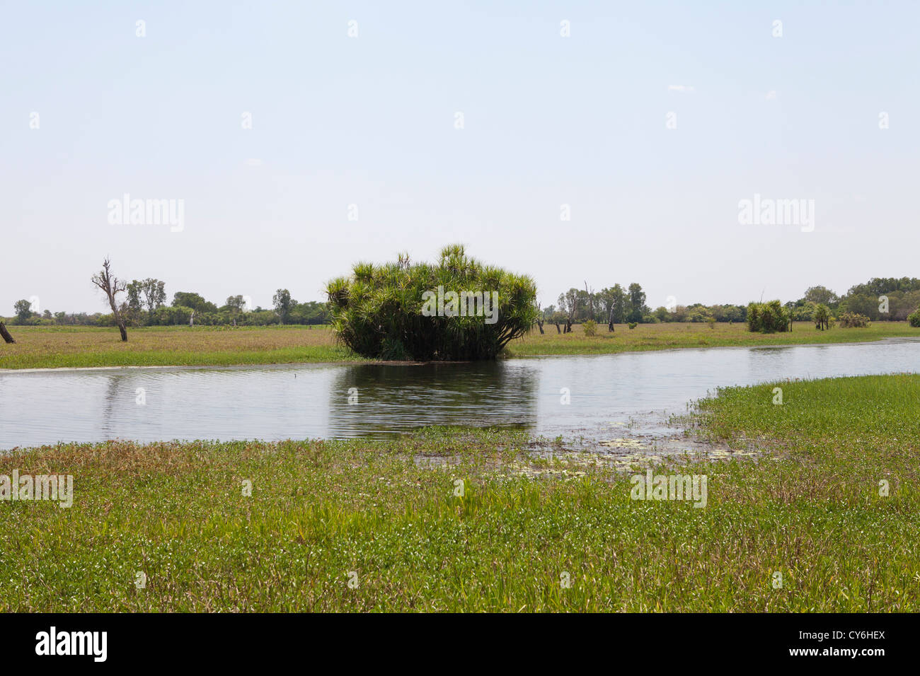 Marshland Area of Litchfield National Park, Northern Territory ...