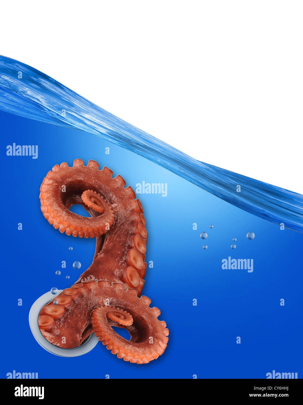 Octopus Coming Out of the Drain Stock Photo - Alamy
