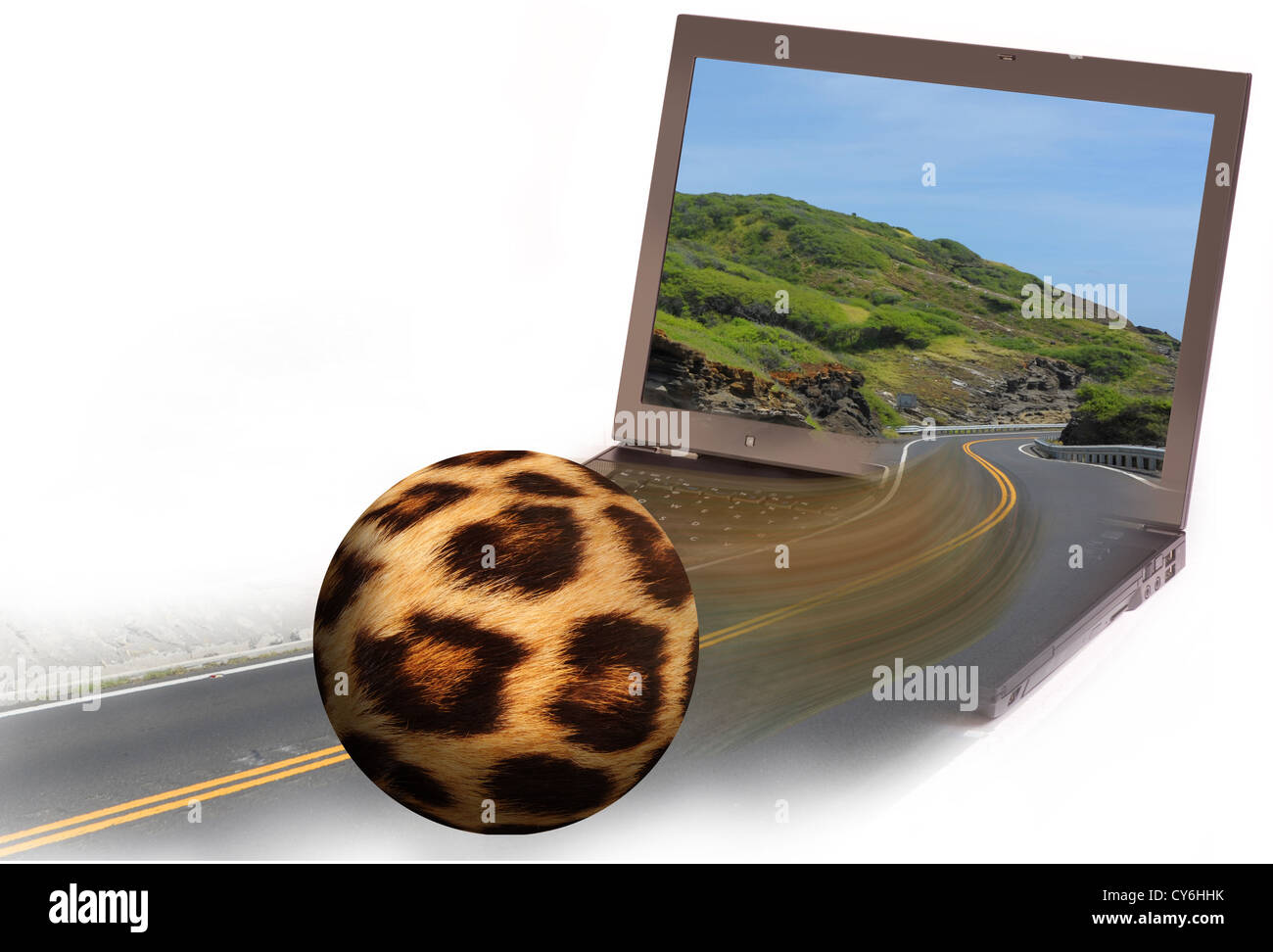 Leopard Rolling High Resolution Stock Photography and Images - Alamy