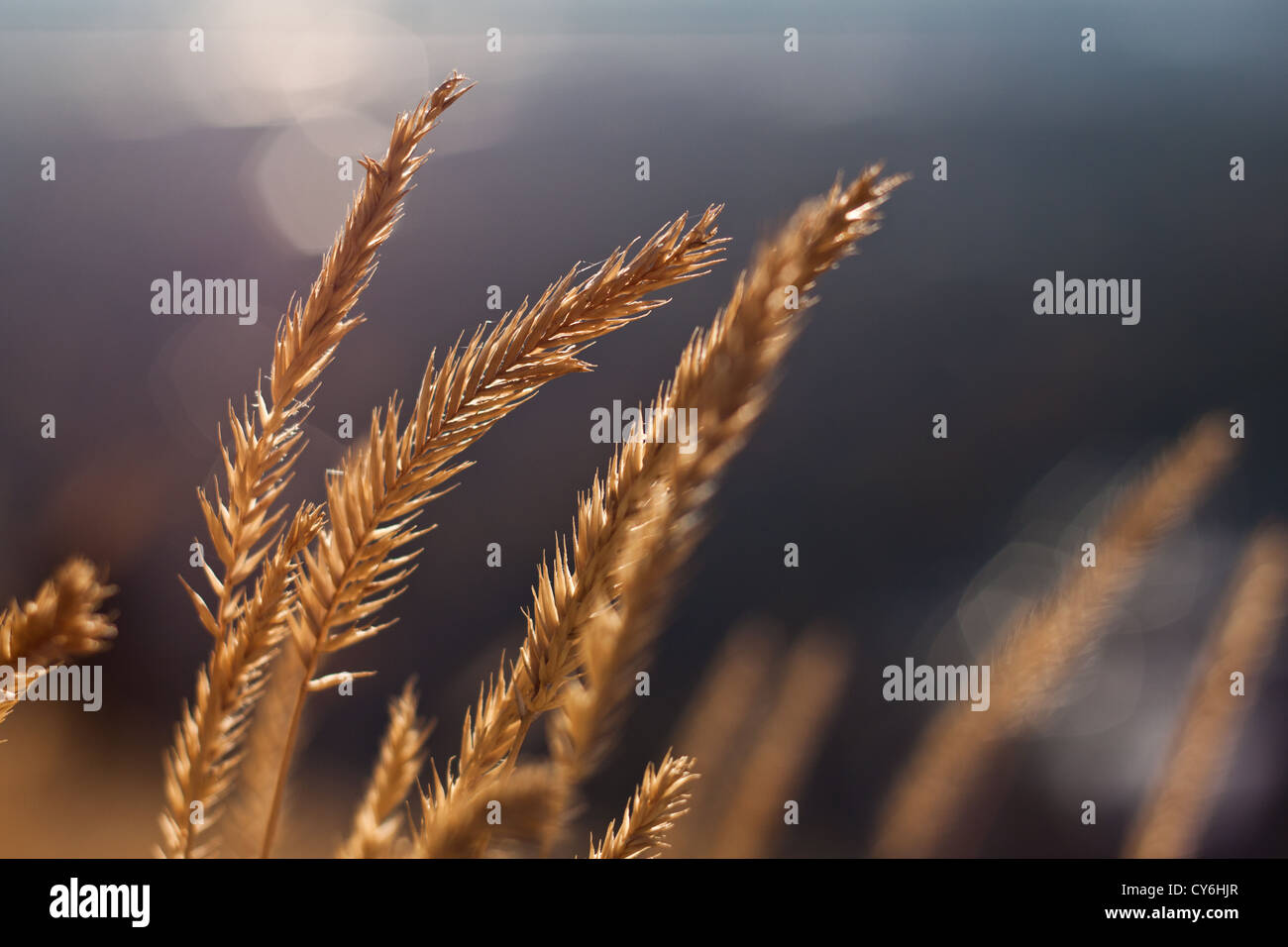 M Trail High Resolution Stock Photography and Images - Alamy