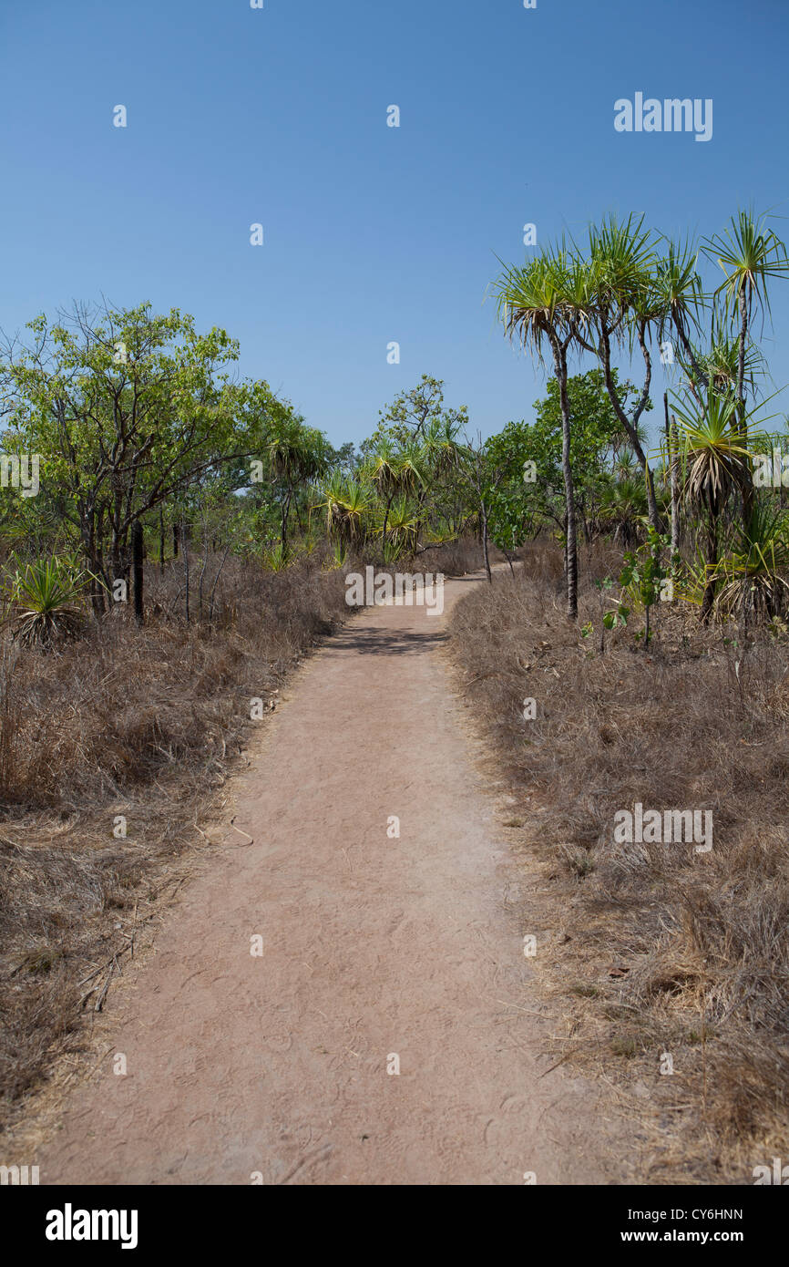 Unsealed Corrugated road in the Northern Territory, Australia Stock ...