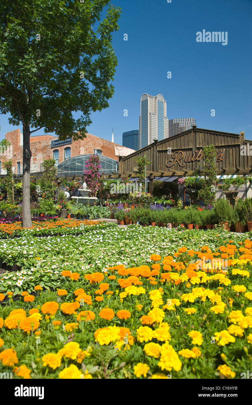 Texas dallas farmers market hi-res stock photography and images - Alamy