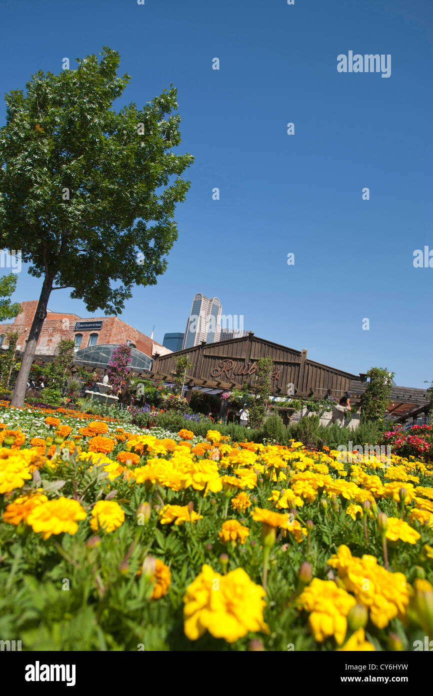 Texas dallas farmers market hi-res stock photography and images - Alamy