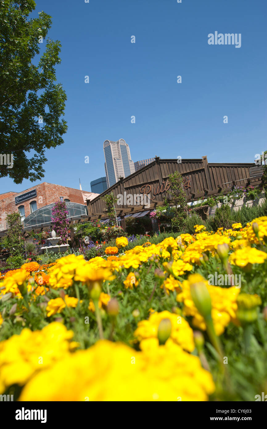 Downtown dallas texas hi-res stock photography and images - Alamy