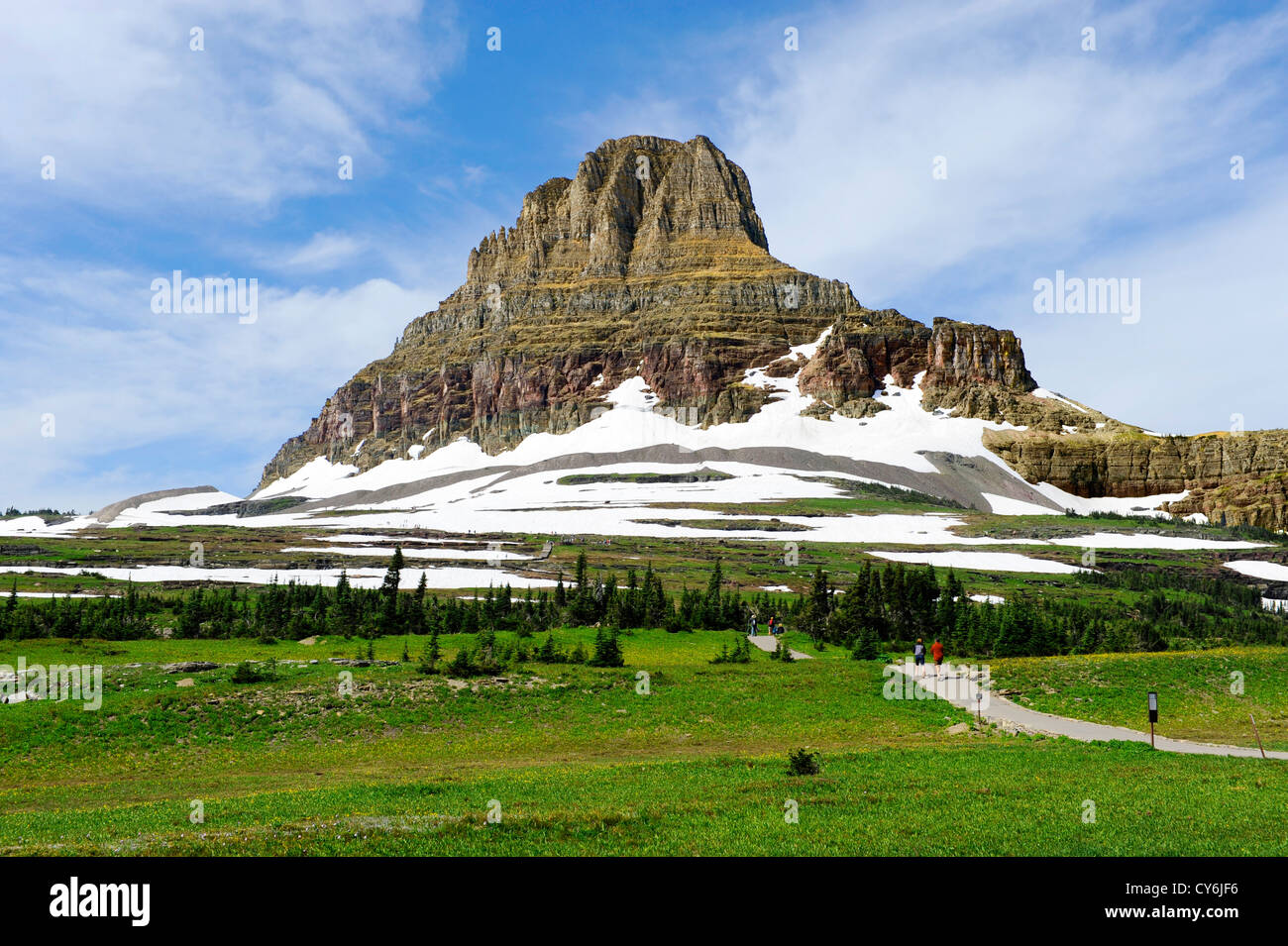 Logan Pass Hiking Trail Glacier National Park Montana MT US Stock Photo ...
