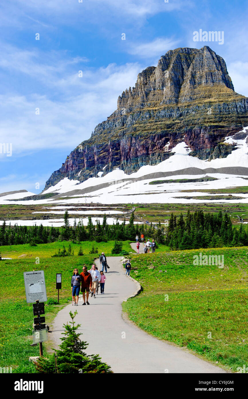 Logan Pass Hiking Trail Glacier National Park Montana MT US Stock Photo ...