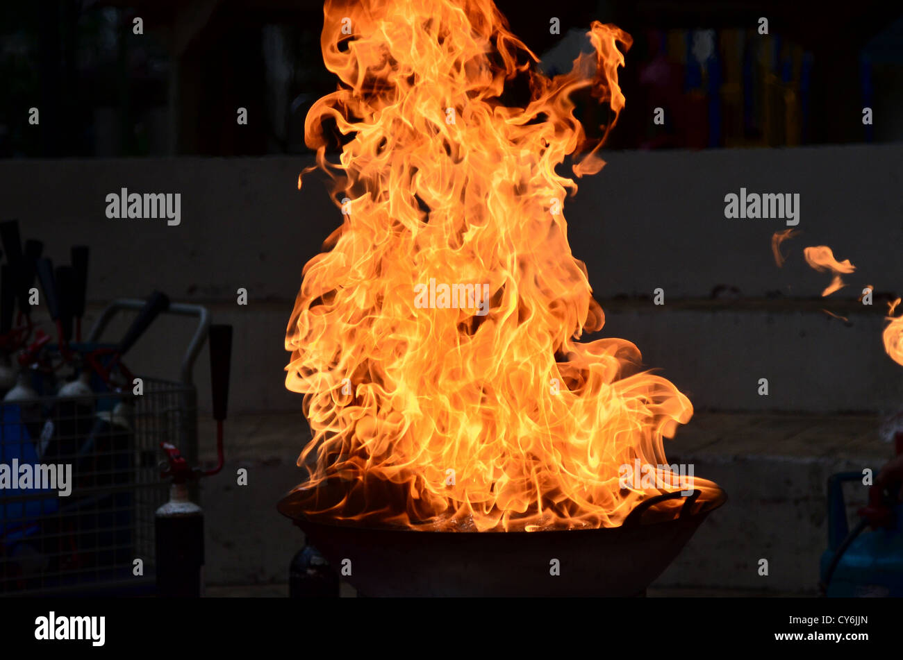 Fiercely hi-res stock photography and images - Alamy