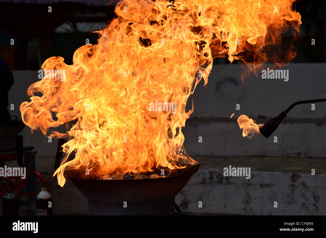 Fiercely hi-res stock photography and images - Alamy