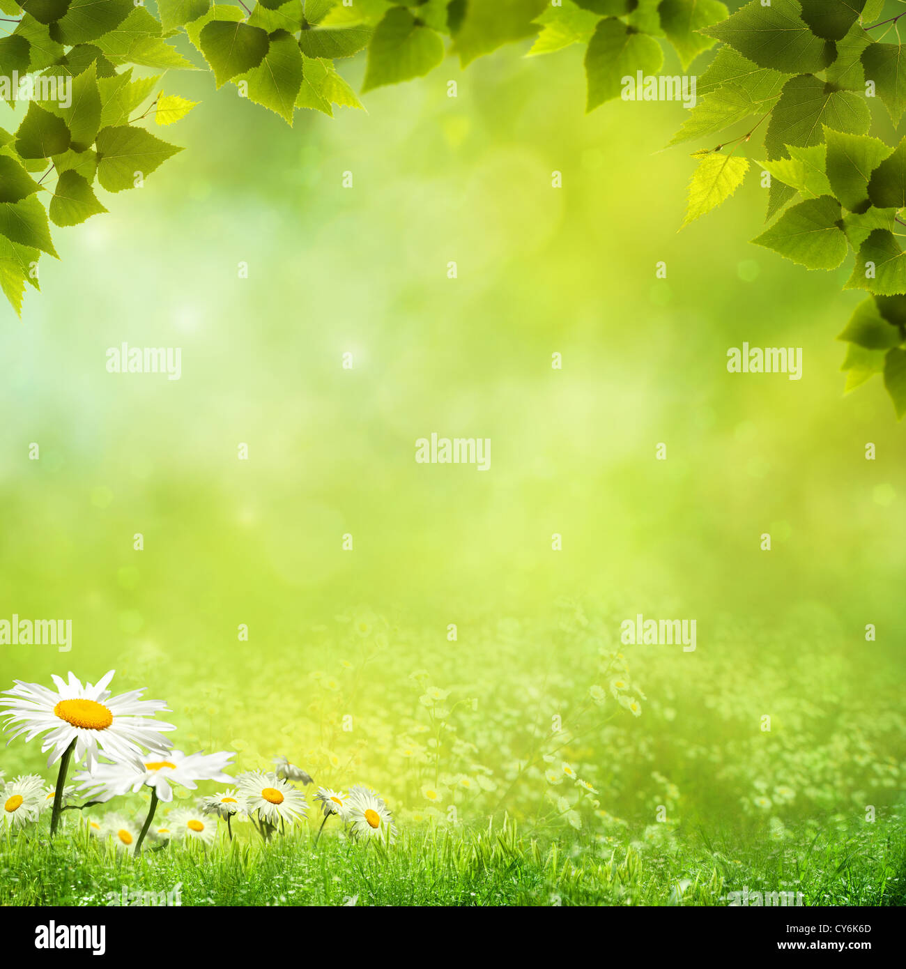 Beauty natural backgrounds for your design Stock Photo - Alamy