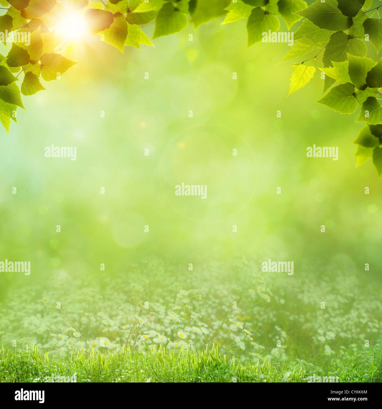 Beauty natural backgrounds for your design Stock Photo - Alamy