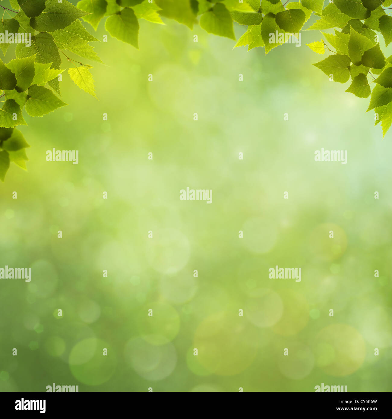 Beauty natural backgrounds for your design Stock Photo - Alamy