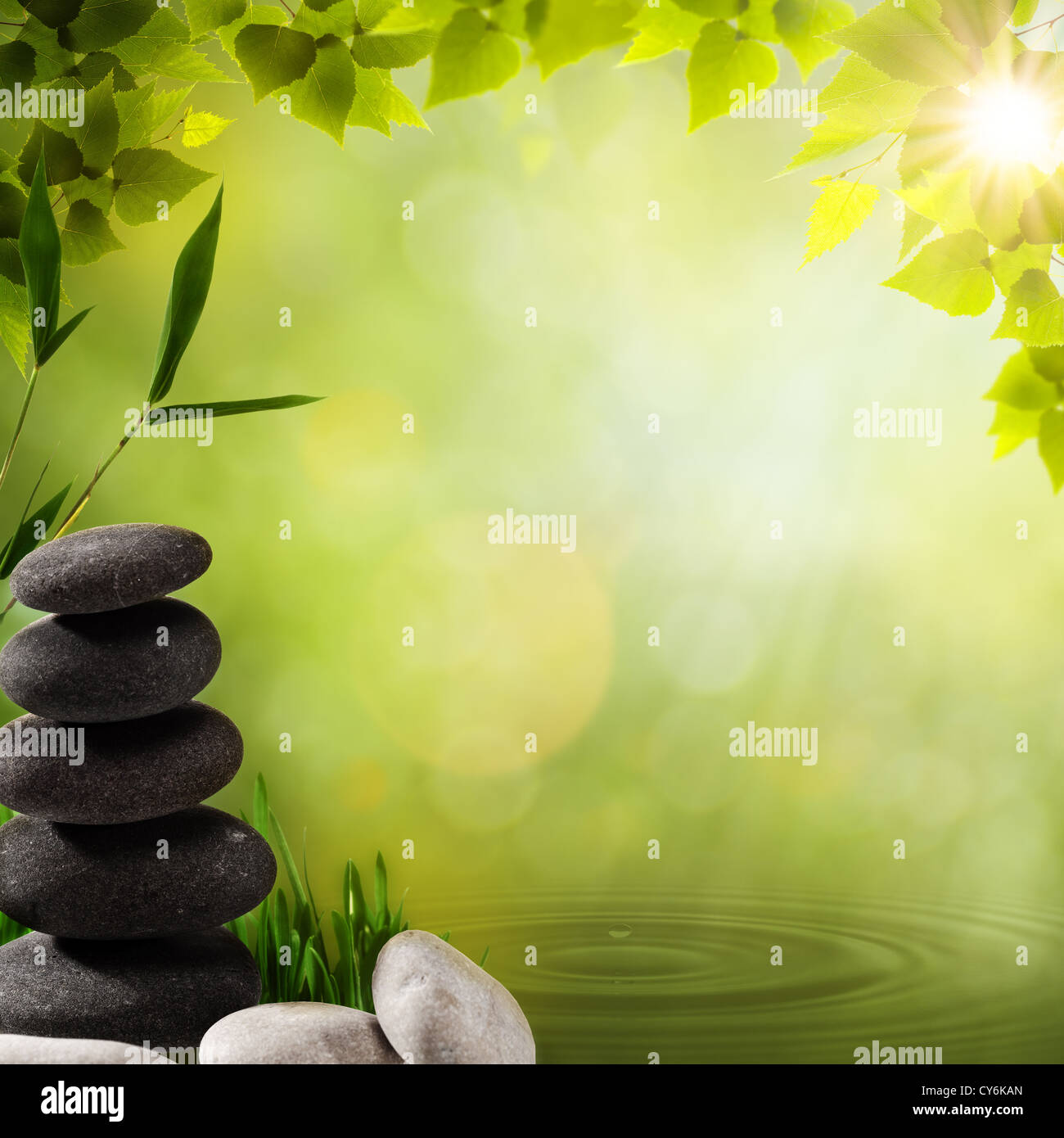 Abstract asian backgrounds with stone and bamboo leaves Stock Photo - Alamy