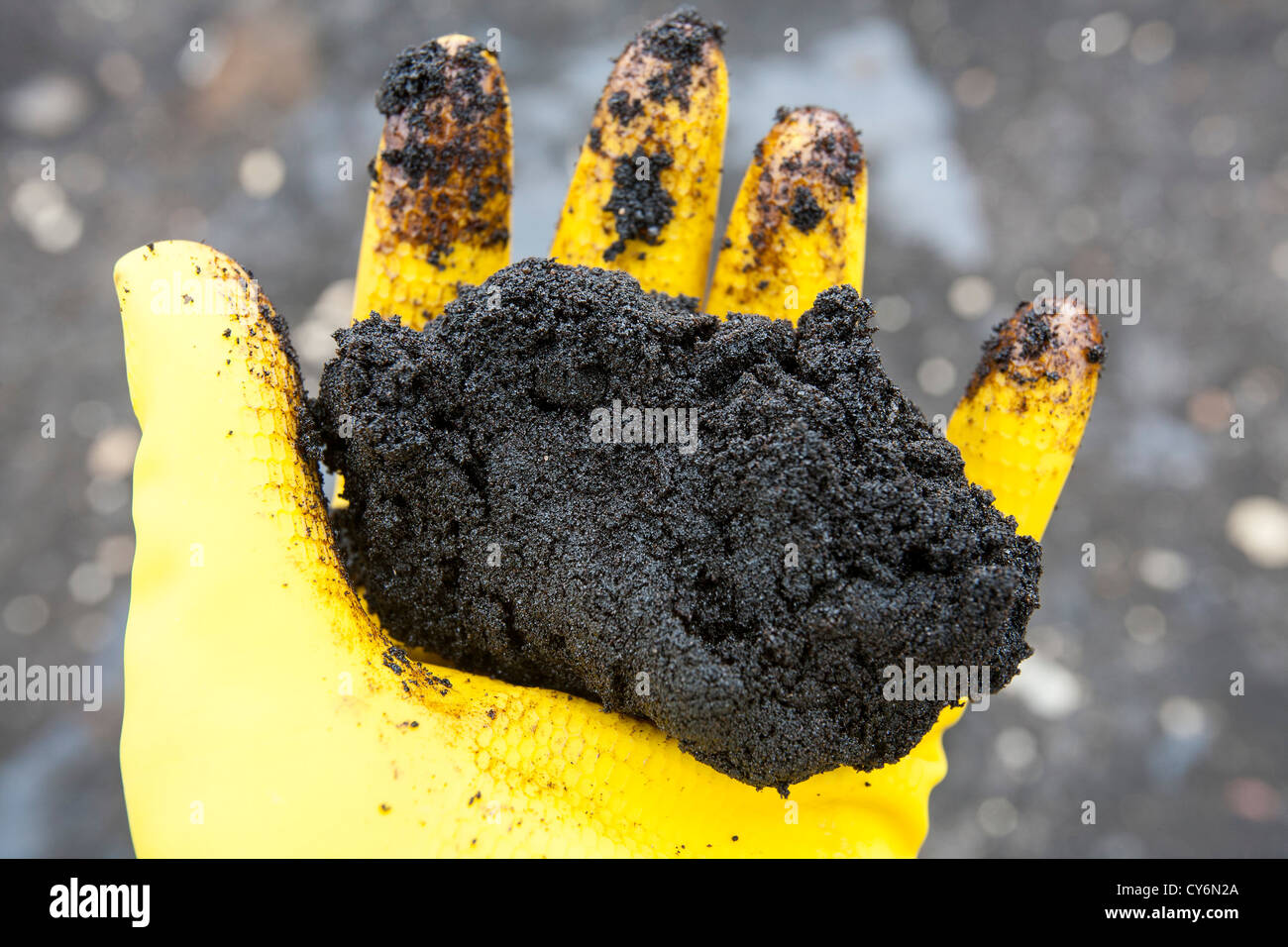 A hand full of tar sand. Tar sands are the largest industrial project ...