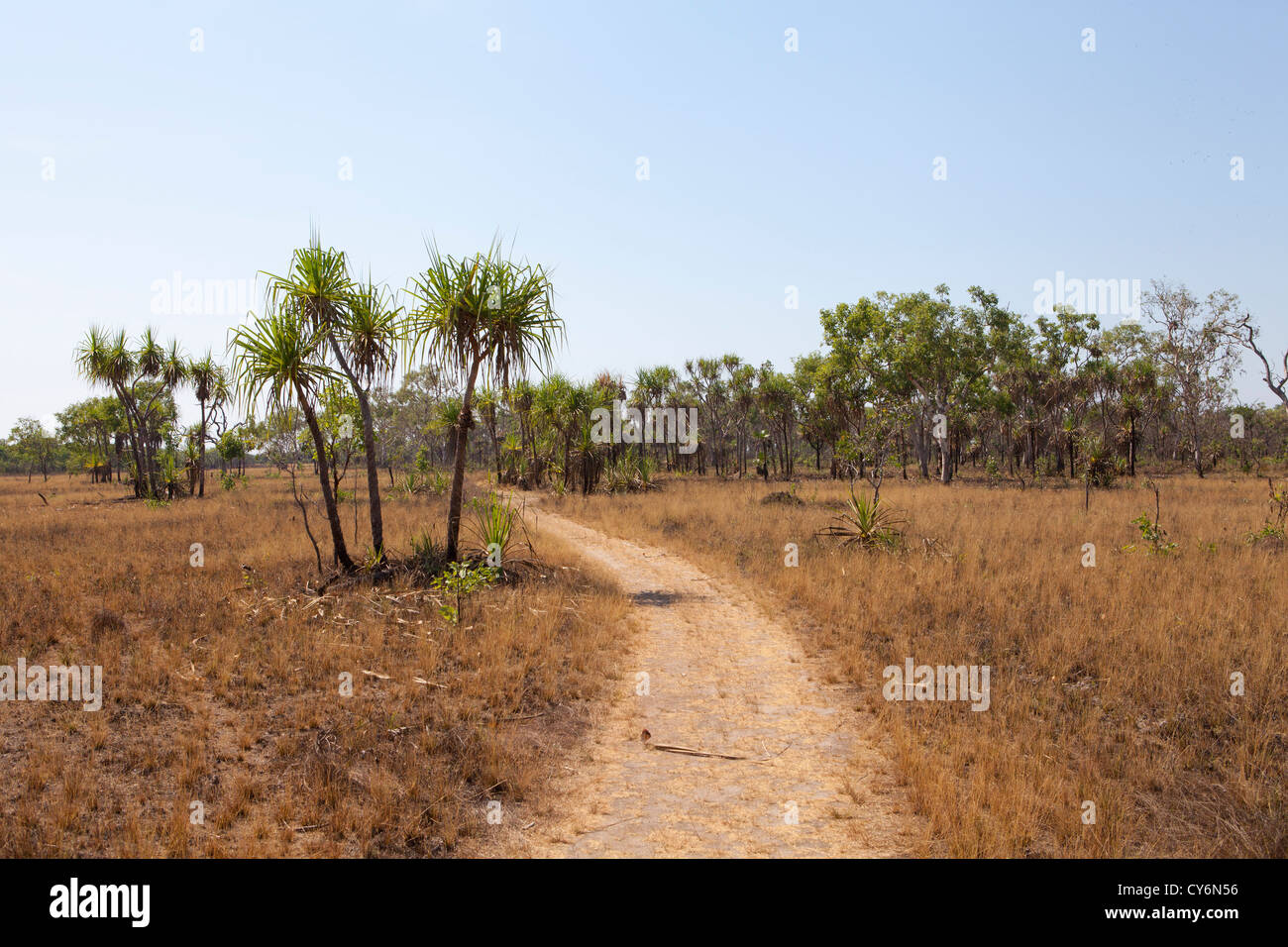 Outback path in Kakadu National Park, Northern Territory, Australia ...