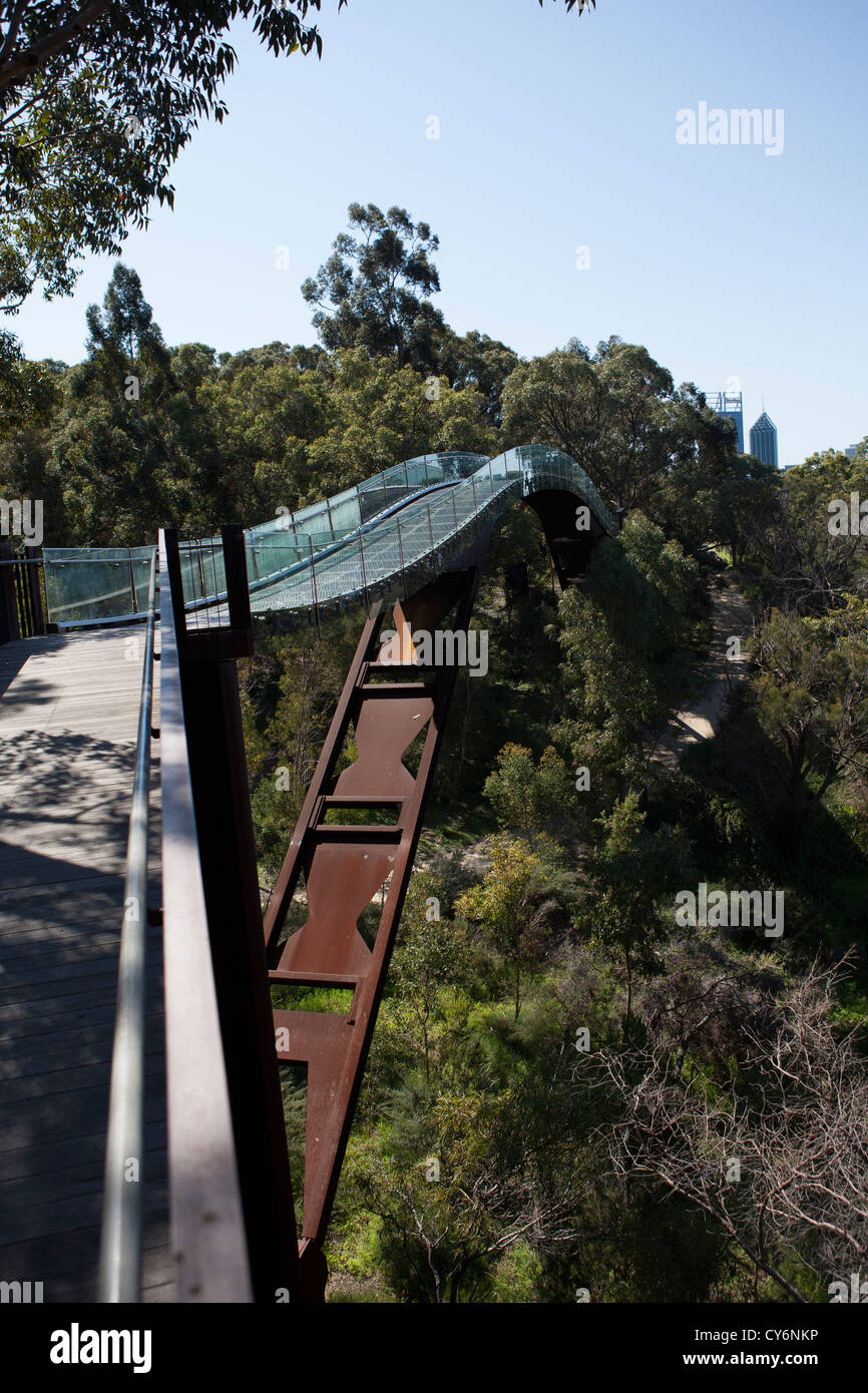 Tree top walk way hi-res stock photography and images - Alamy