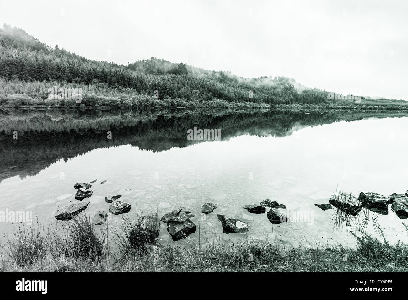 Kyle lake hi-res stock photography and images - Alamy