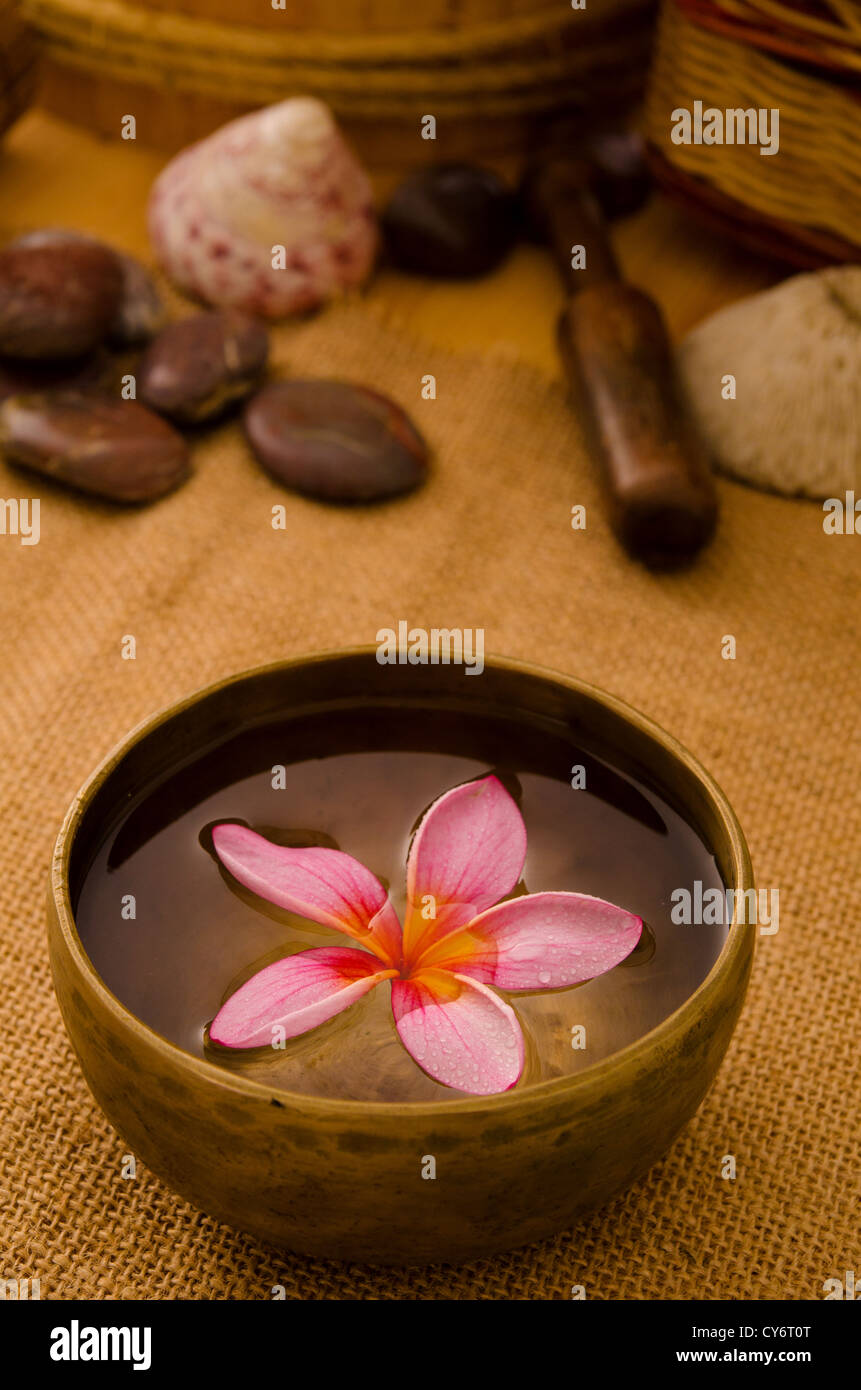 Tropical setup hi-res stock photography and images - Alamy