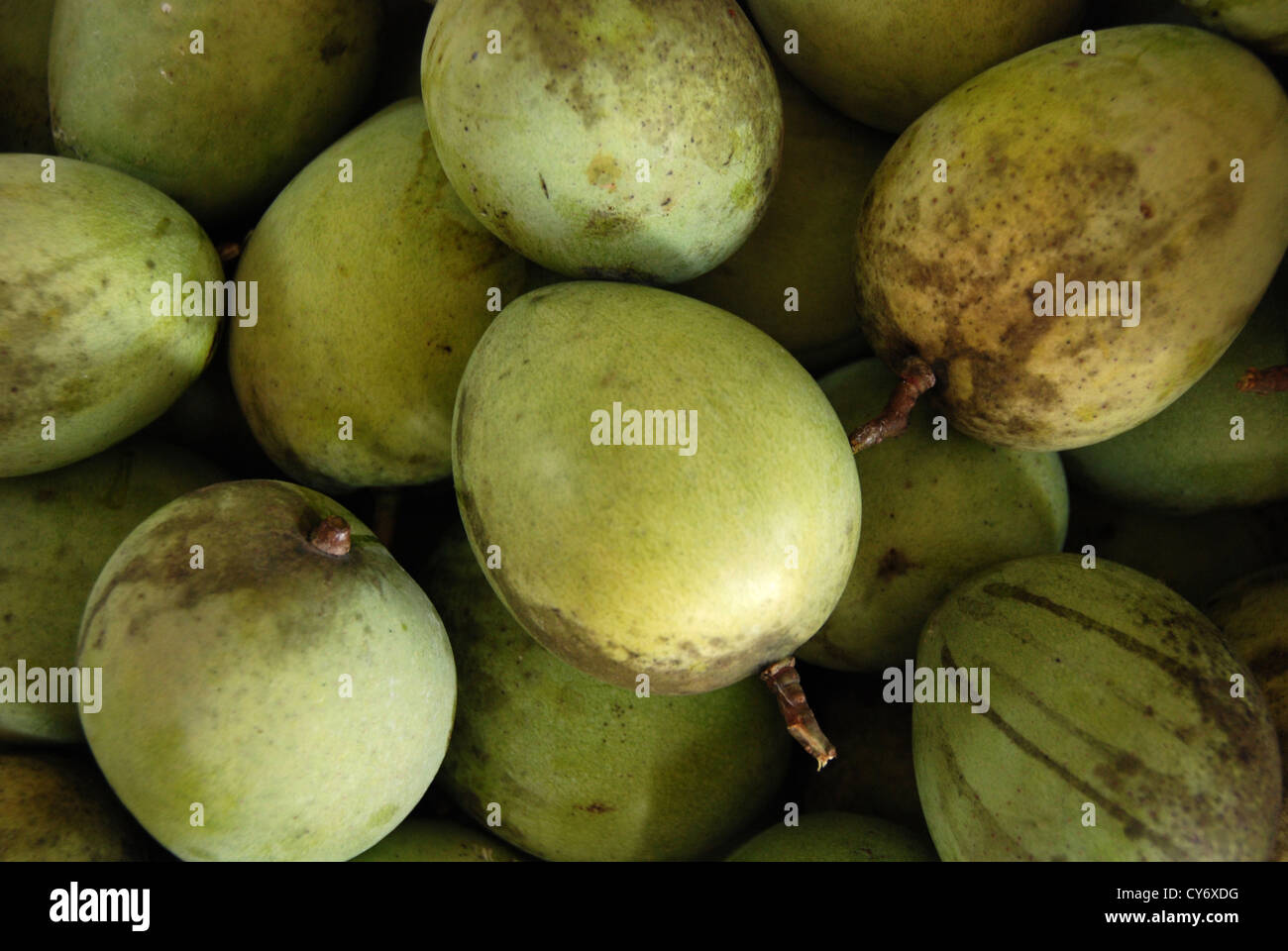 Food and plant farms hi-res stock photography and images - Alamy