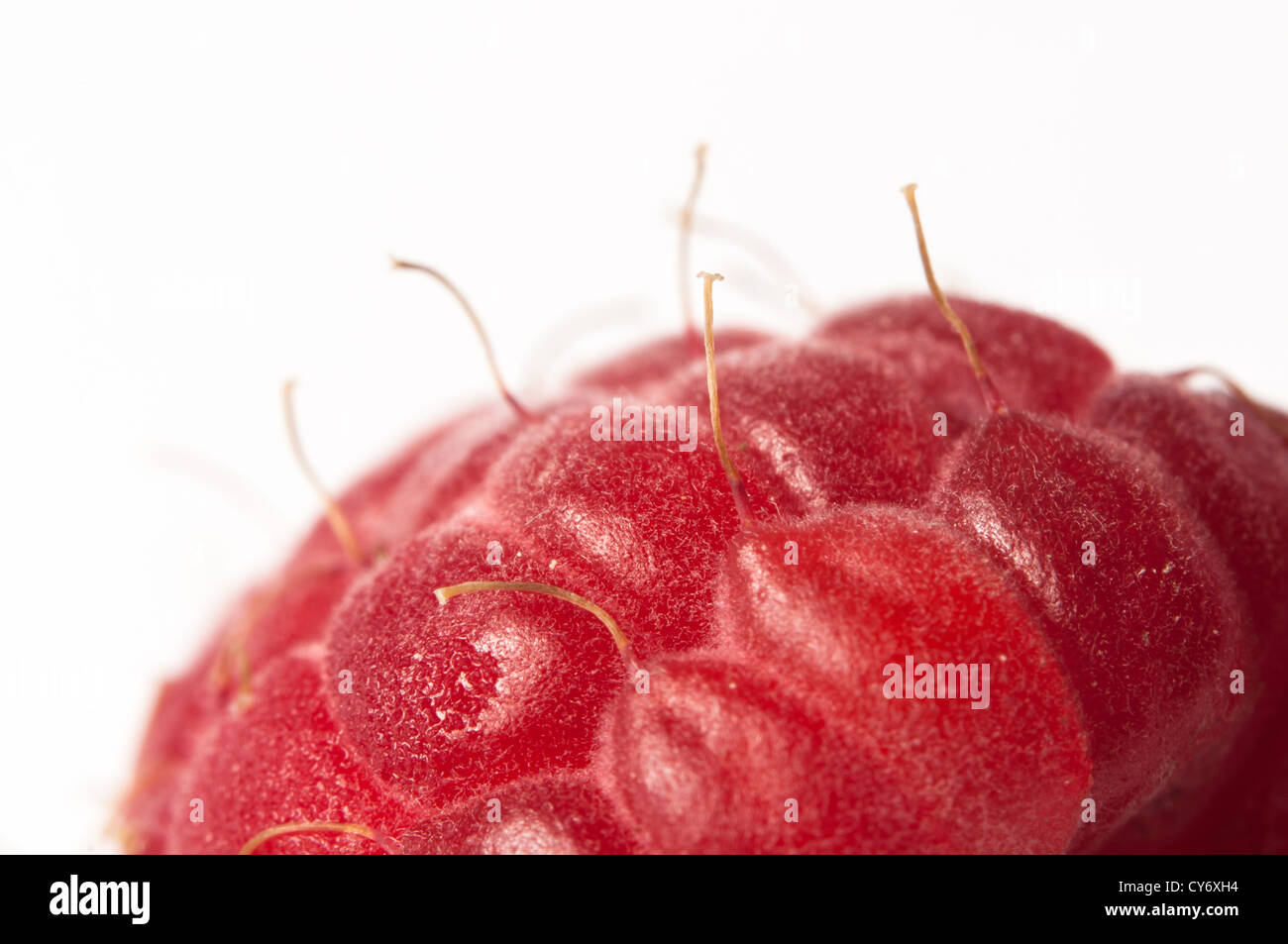 Raspberry extreme close-up on a white background Stock Photo - Alamy
