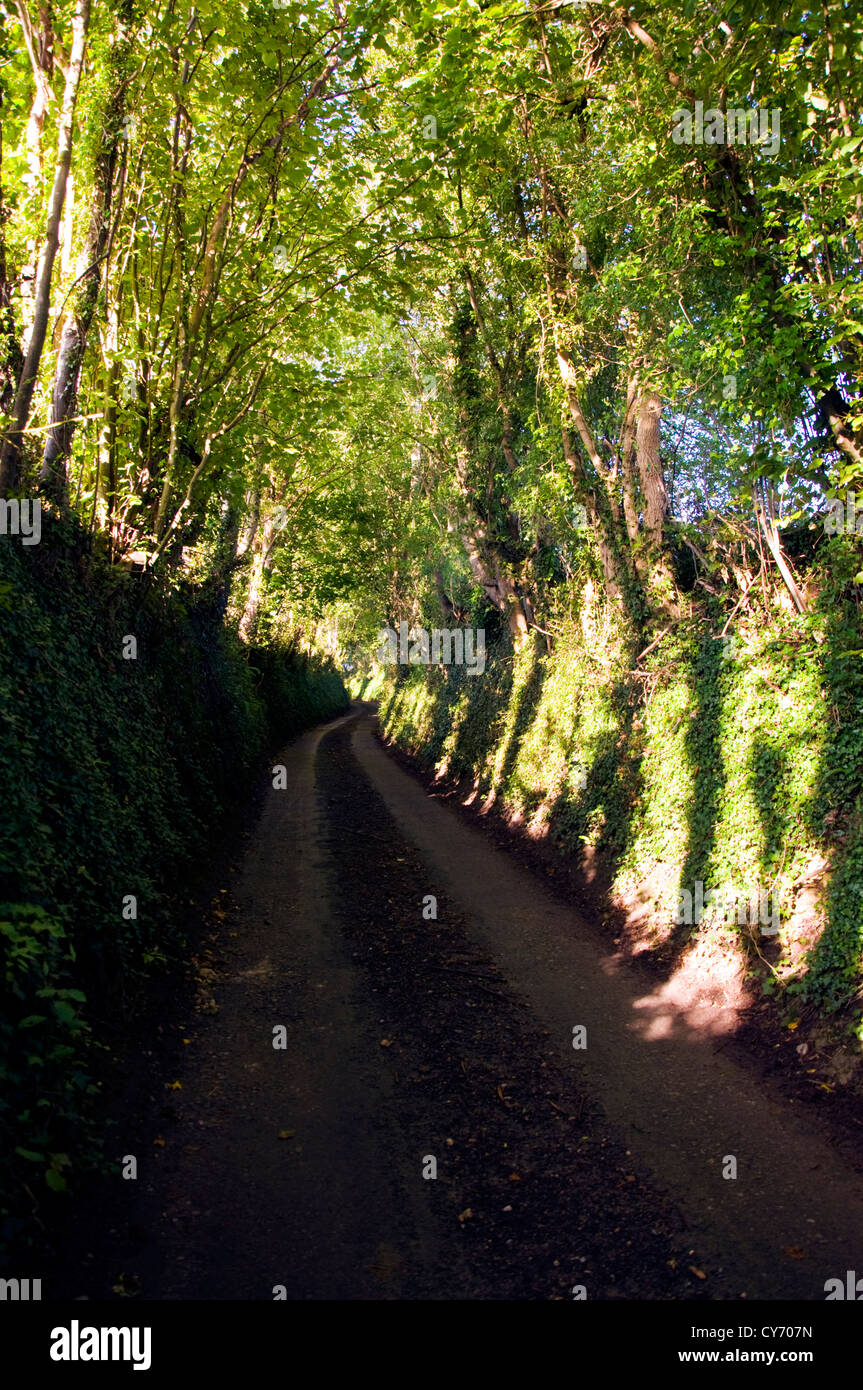 Sunken lane an ancient Somerset road up to Little Solsbury Hill Stock ...