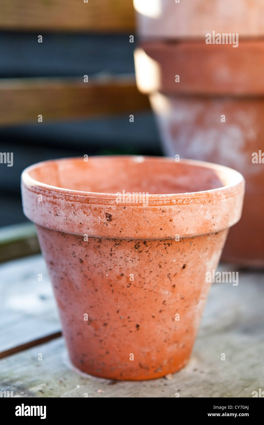 Terraco plant pot hi-res stock photography and images - Alamy