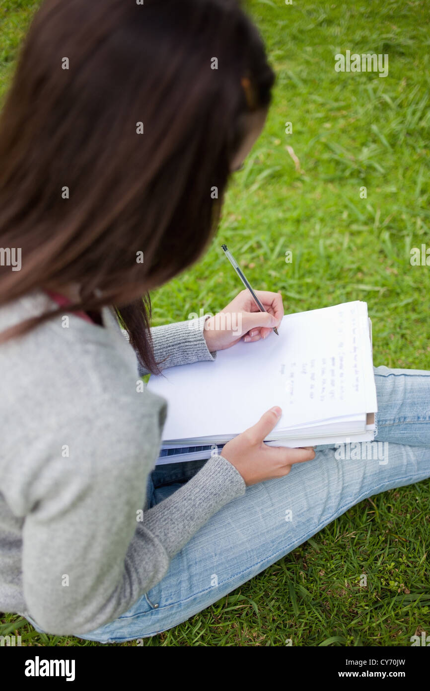 Overhead view of a young student doing her homework in a park Stock ...