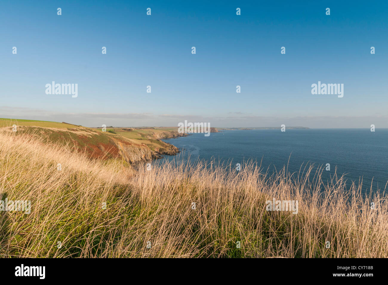 A view from the South Devon coastal path on a late summer's evening ...