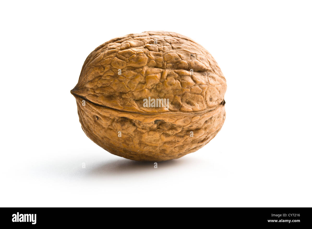 dried walnut on white background Stock Photo - Alamy