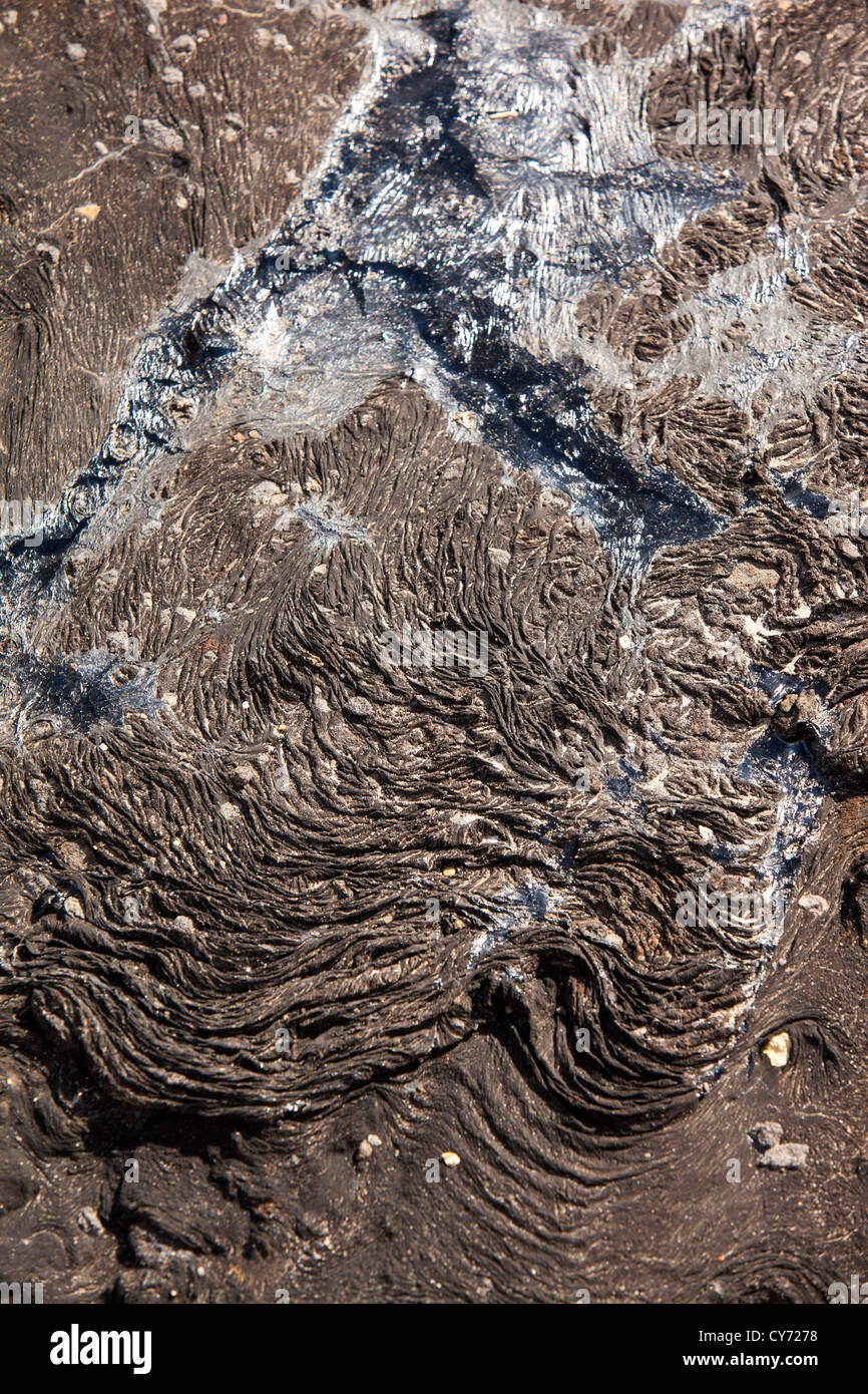 Tar sands deposits. Tar sands are the largest industrial project on the ...