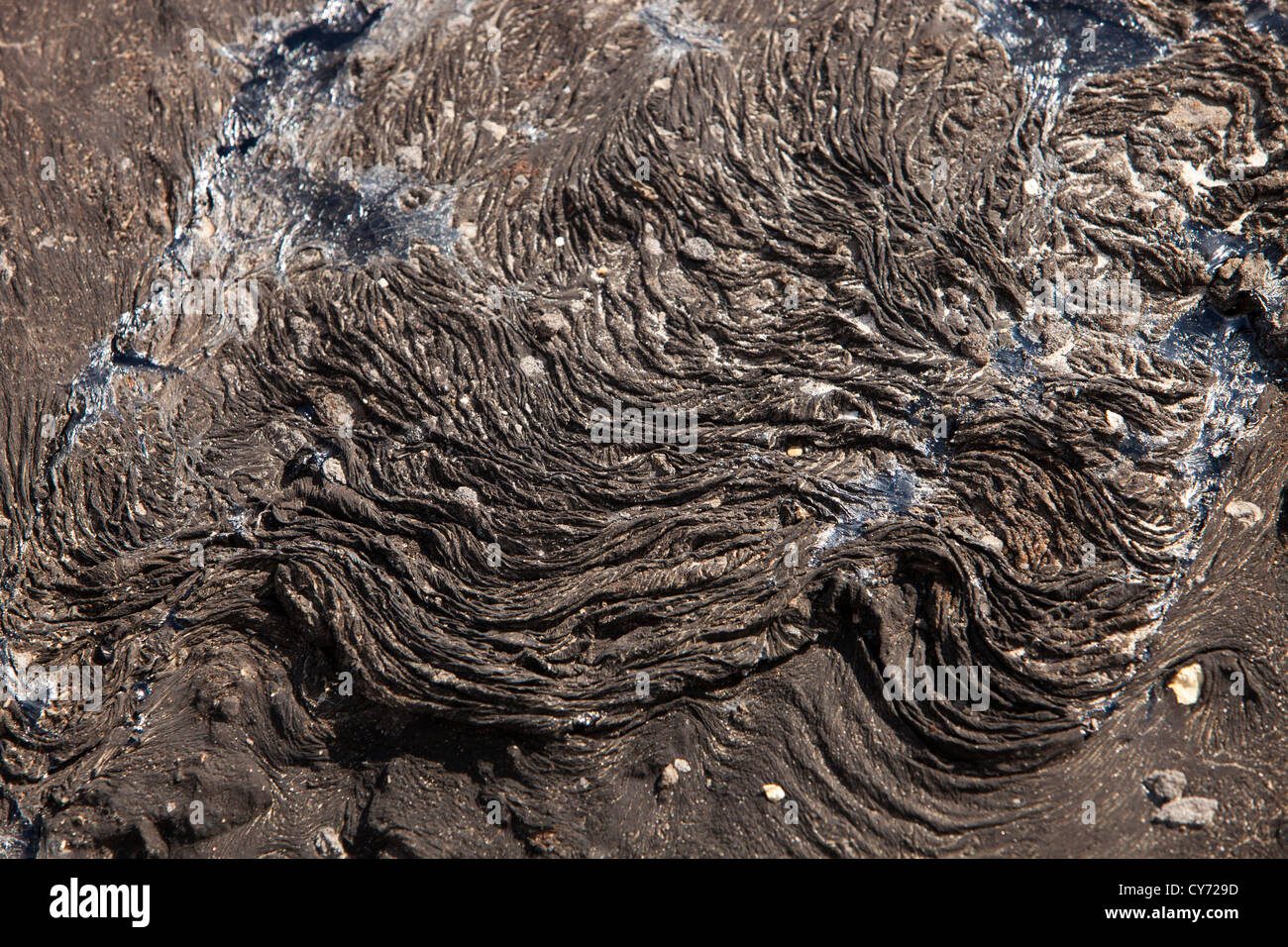 Tar sands deposits. Tar sands are the largest industrial project on the ...