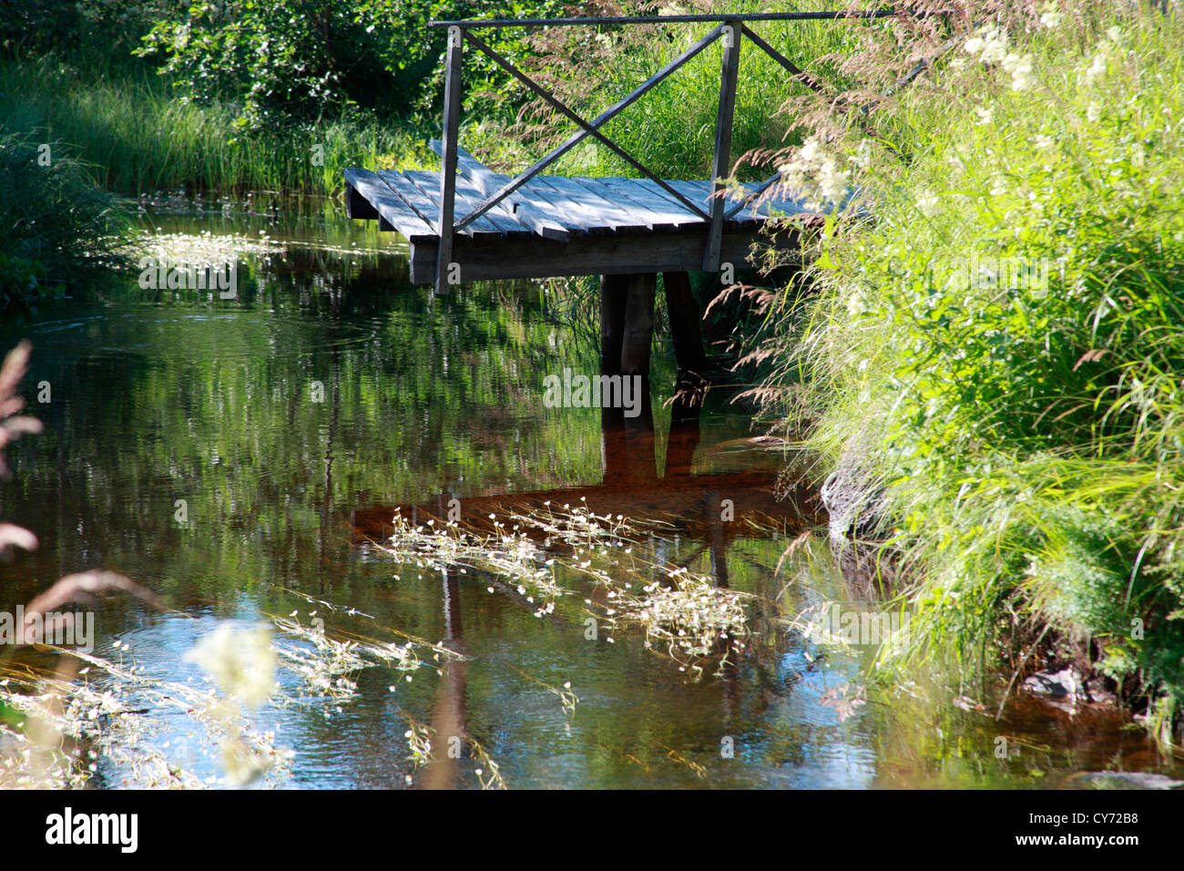 Brook running through lush summer landscape in Sweden Stock Photo - Alamy