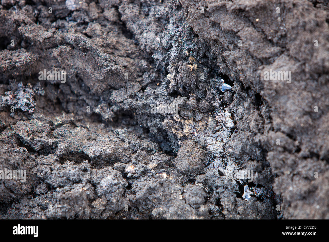 Tar sands deposits. Tar sands are the largest industrial project on the ...