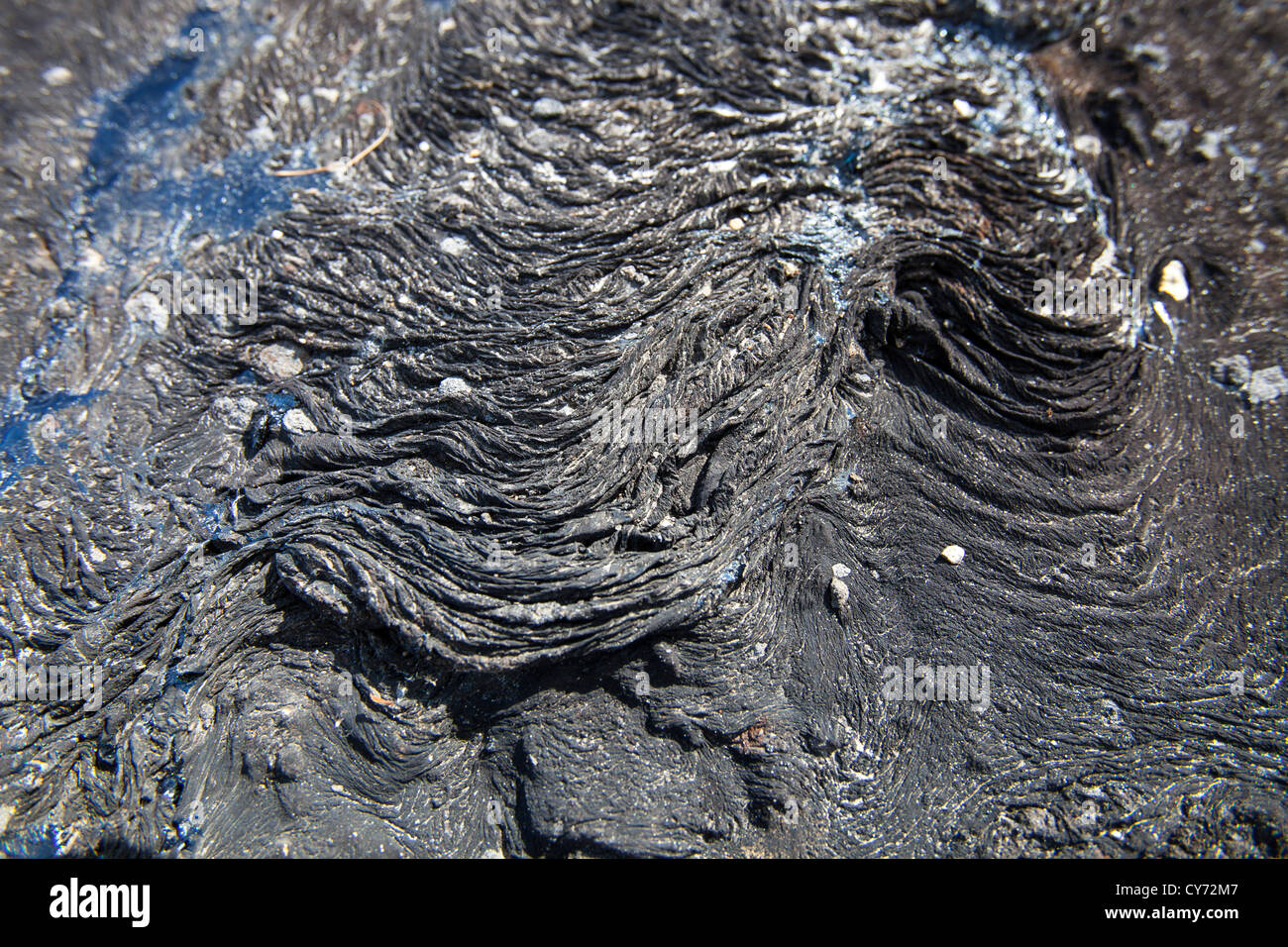 Tar sands deposits. Tar sands are the largest industrial project on the ...