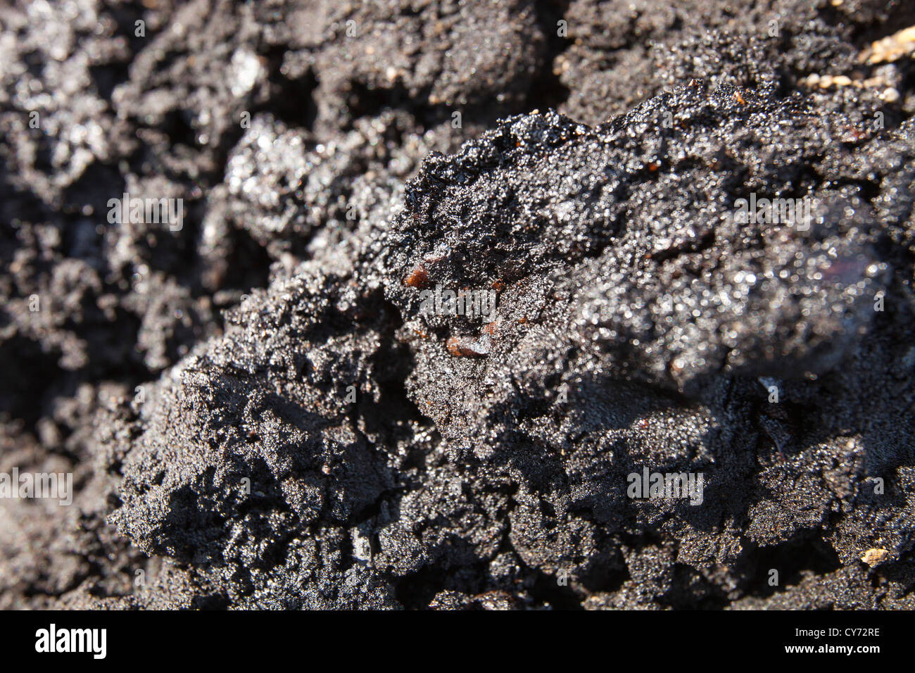 Tar sands deposits. Tar sands are the largest industrial project on the ...