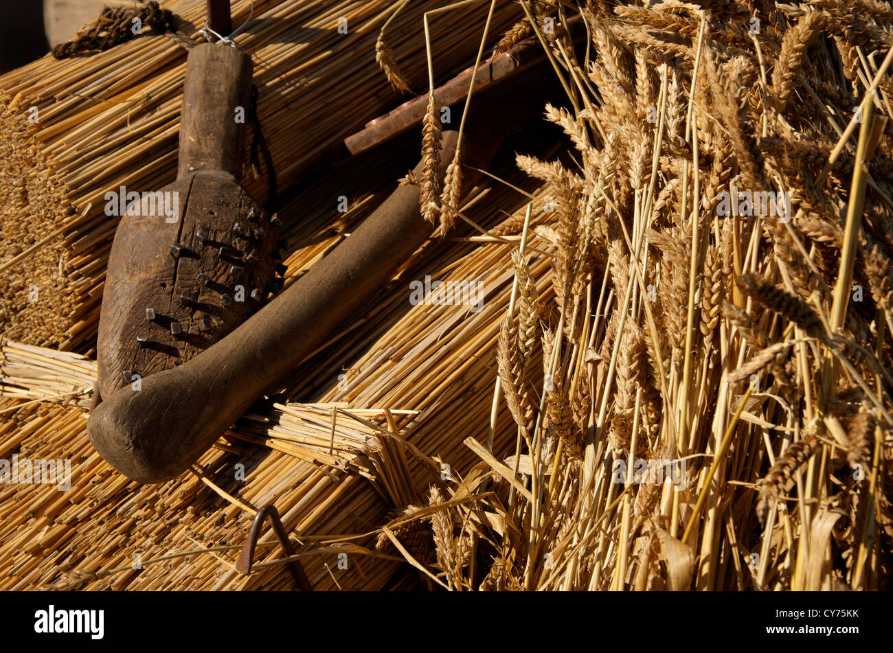 Straw thatch and thatching tools on display Stock Photo - Alamy