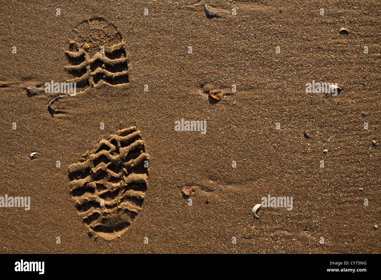 Trainer footprint hi-res stock photography and images - Alamy