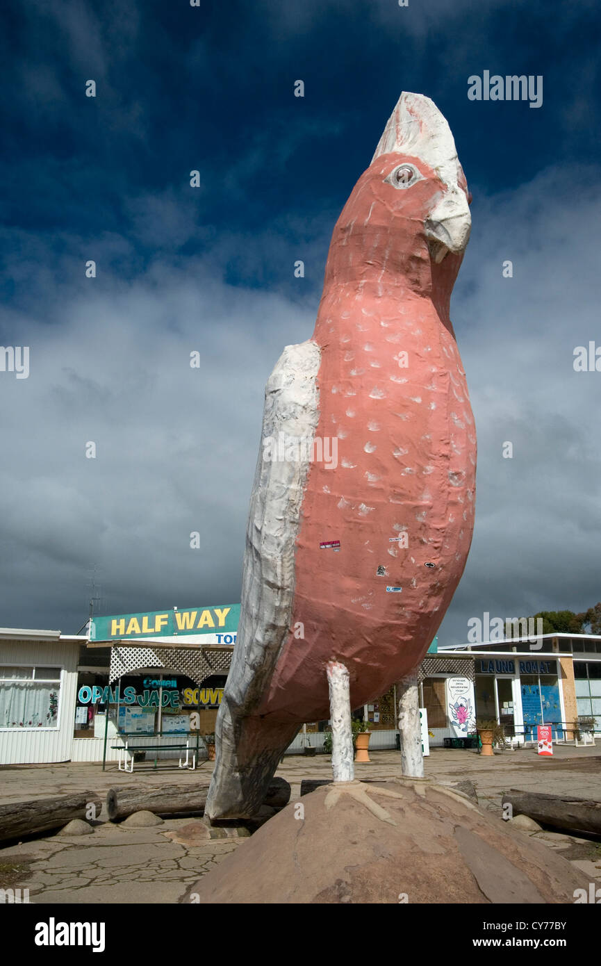 Kimba South Australia big Galah Stock Photo - Alamy