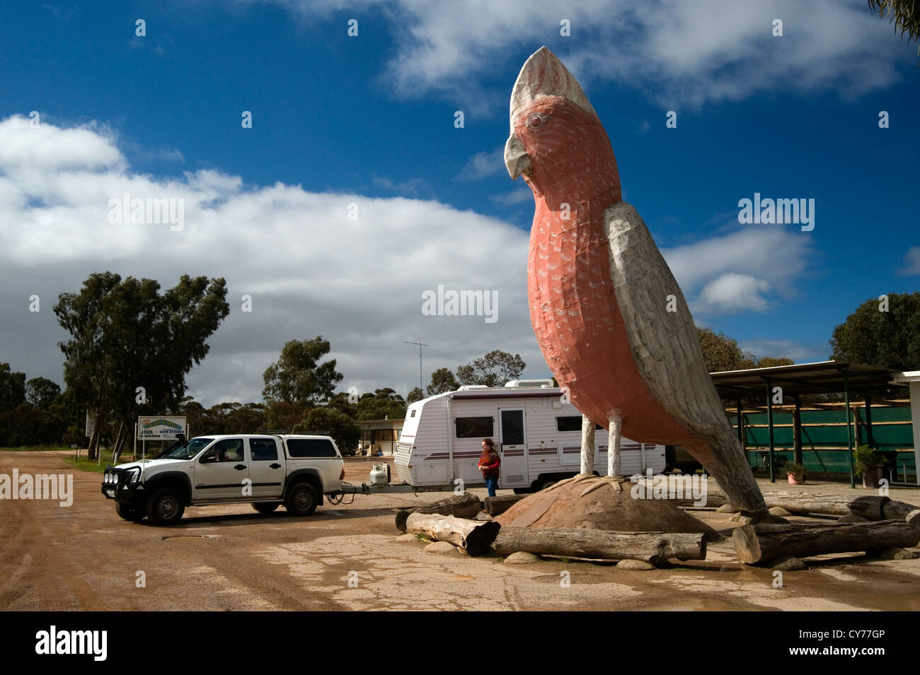 Kimba South Australia big Galah Stock Photo - Alamy