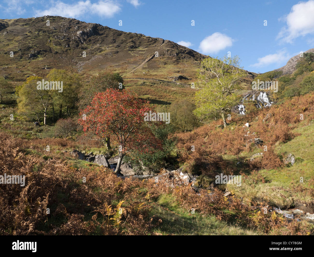 View up afon cwm llan waterfall hi-res stock photography and images - Alamy