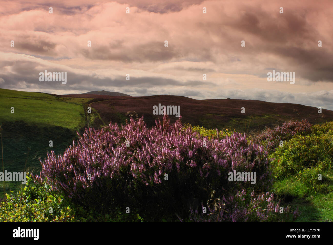 Moel arthur hill fort hi-res stock photography and images - Alamy
