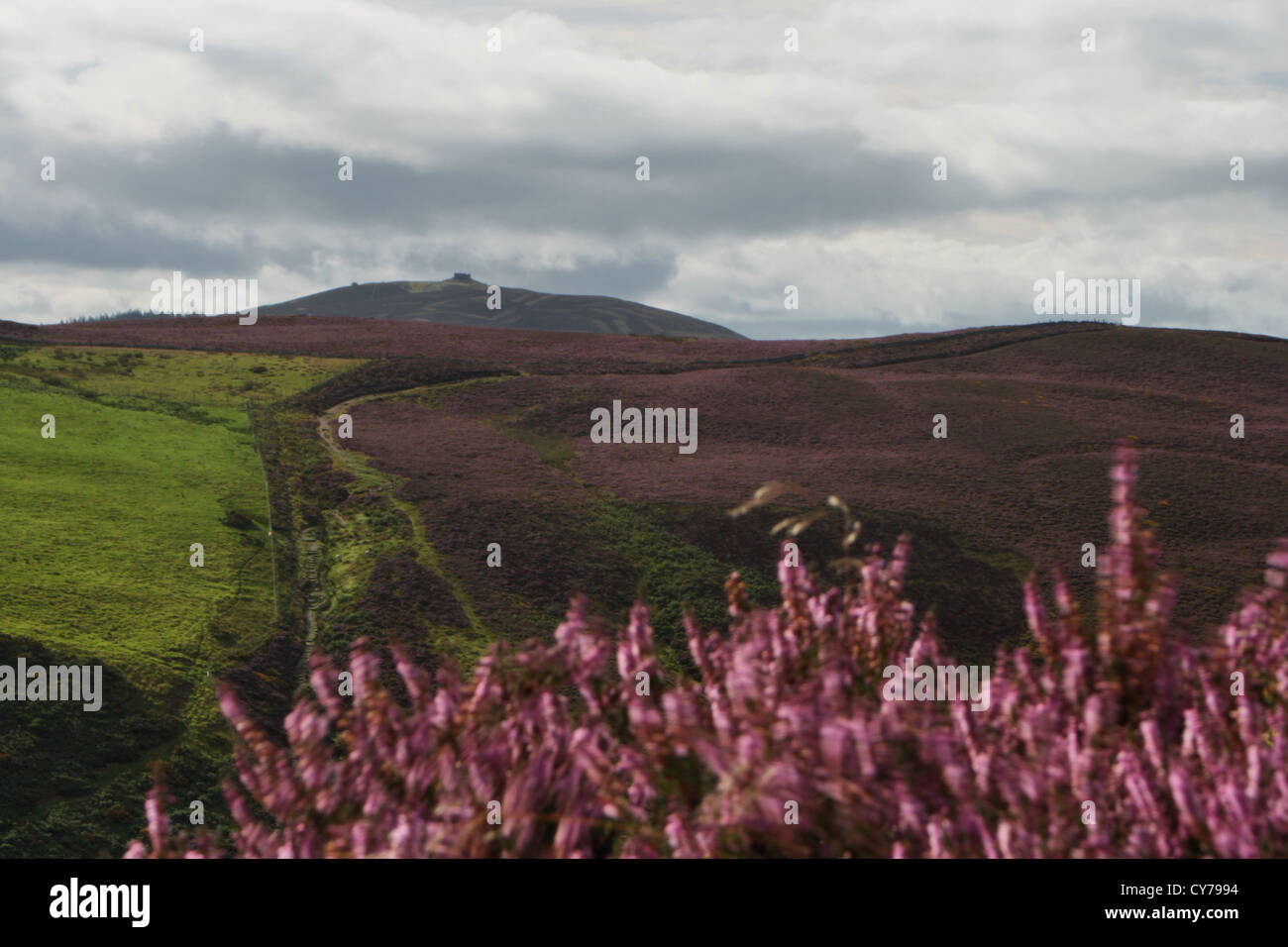 Moel arthur hill fort hi-res stock photography and images - Alamy