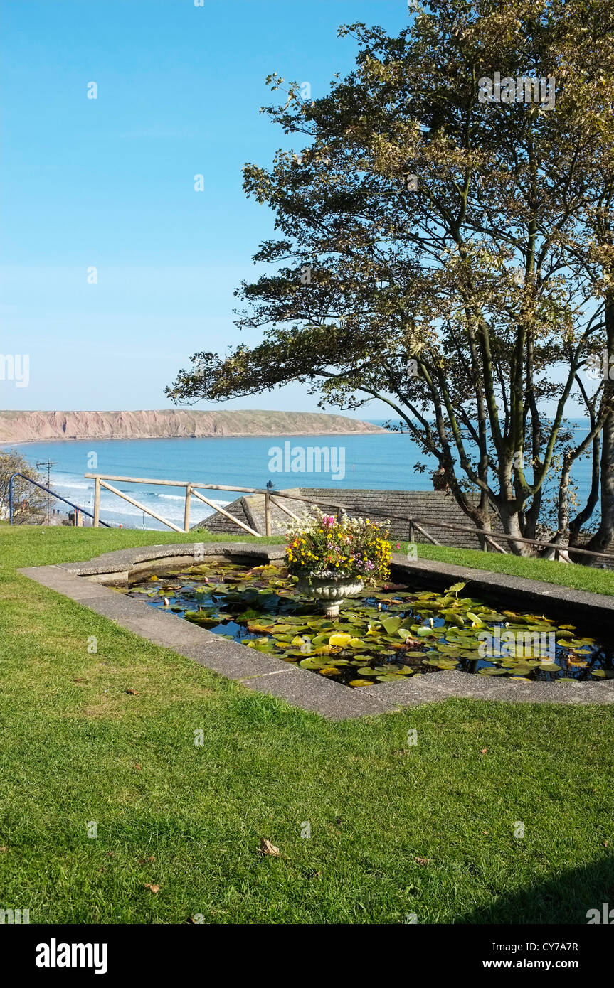 Lilly pond on the cliff top at Filey, Yorkshire Stock Photo - Alamy