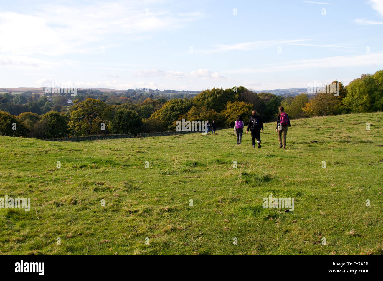 The path to Cotherstone Stock Photo - Alamy