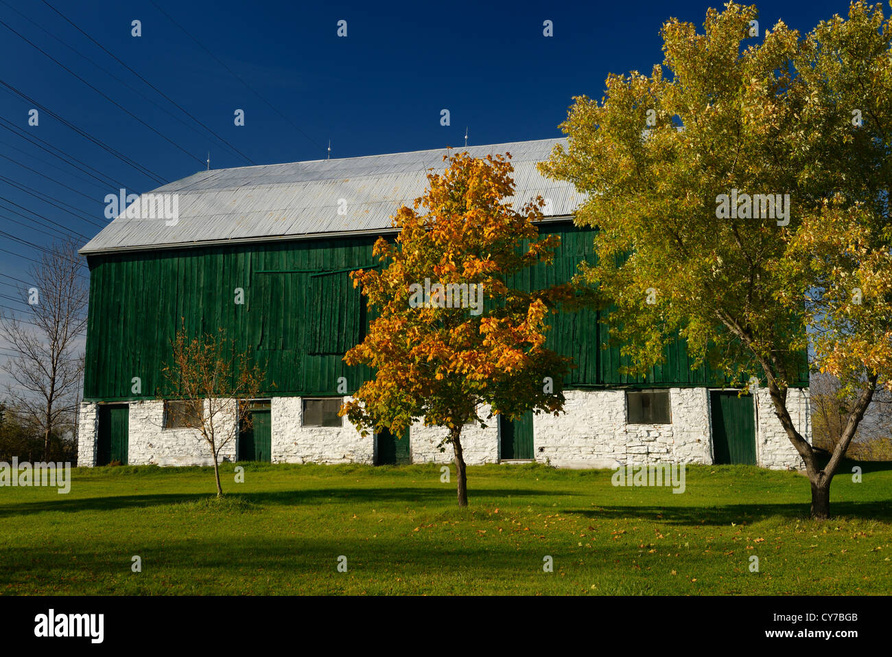 Working barn in the Fall near Toronto with green paint and grass with ...
