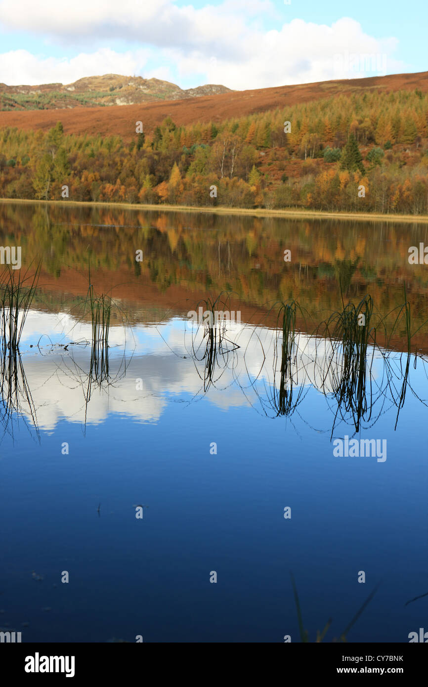 Mill dam hi-res stock photography and images - Alamy