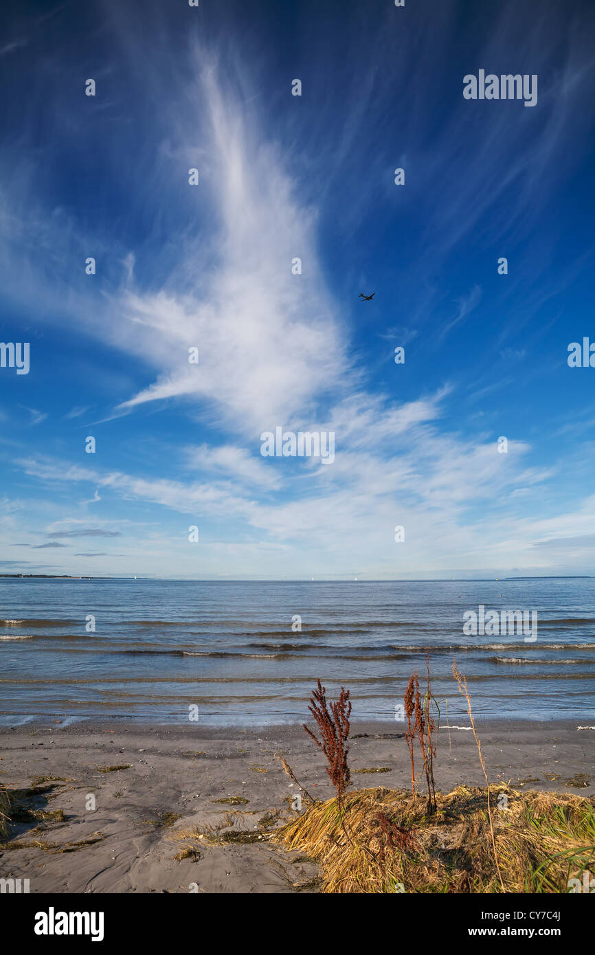 Coastline seashore hi-res stock photography and images - Alamy