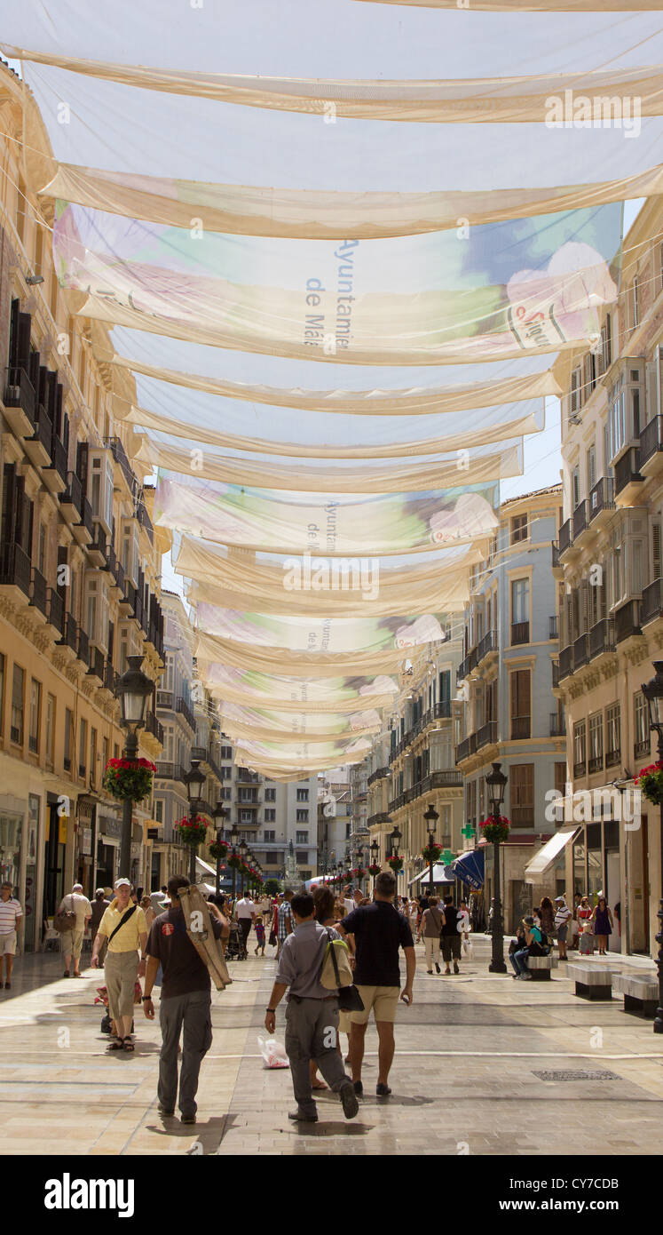 One of Malaga's main shopping precincts. customer experience. "Calle ...