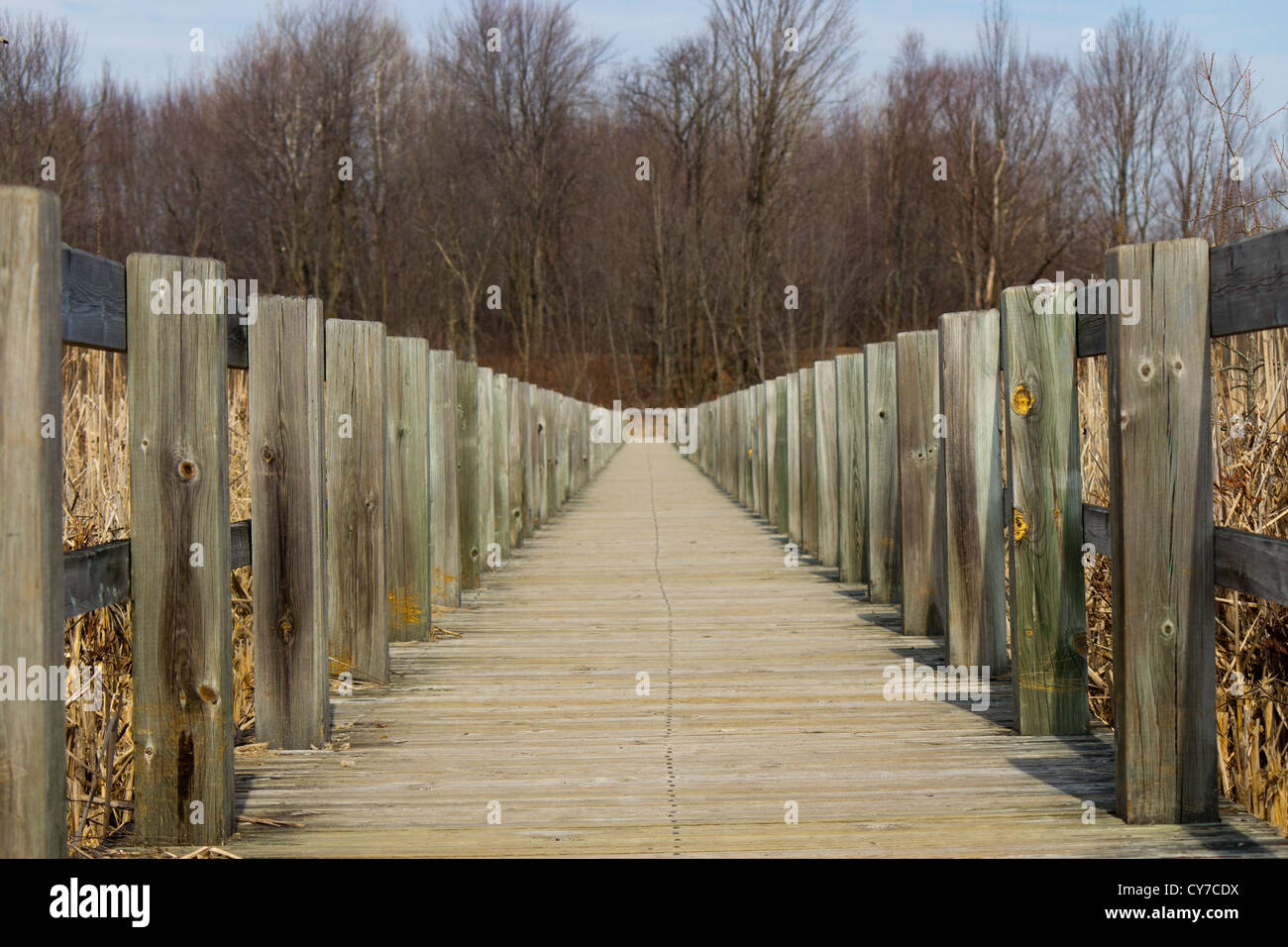 Boardwalk over a marsh Stock Photo - Alamy