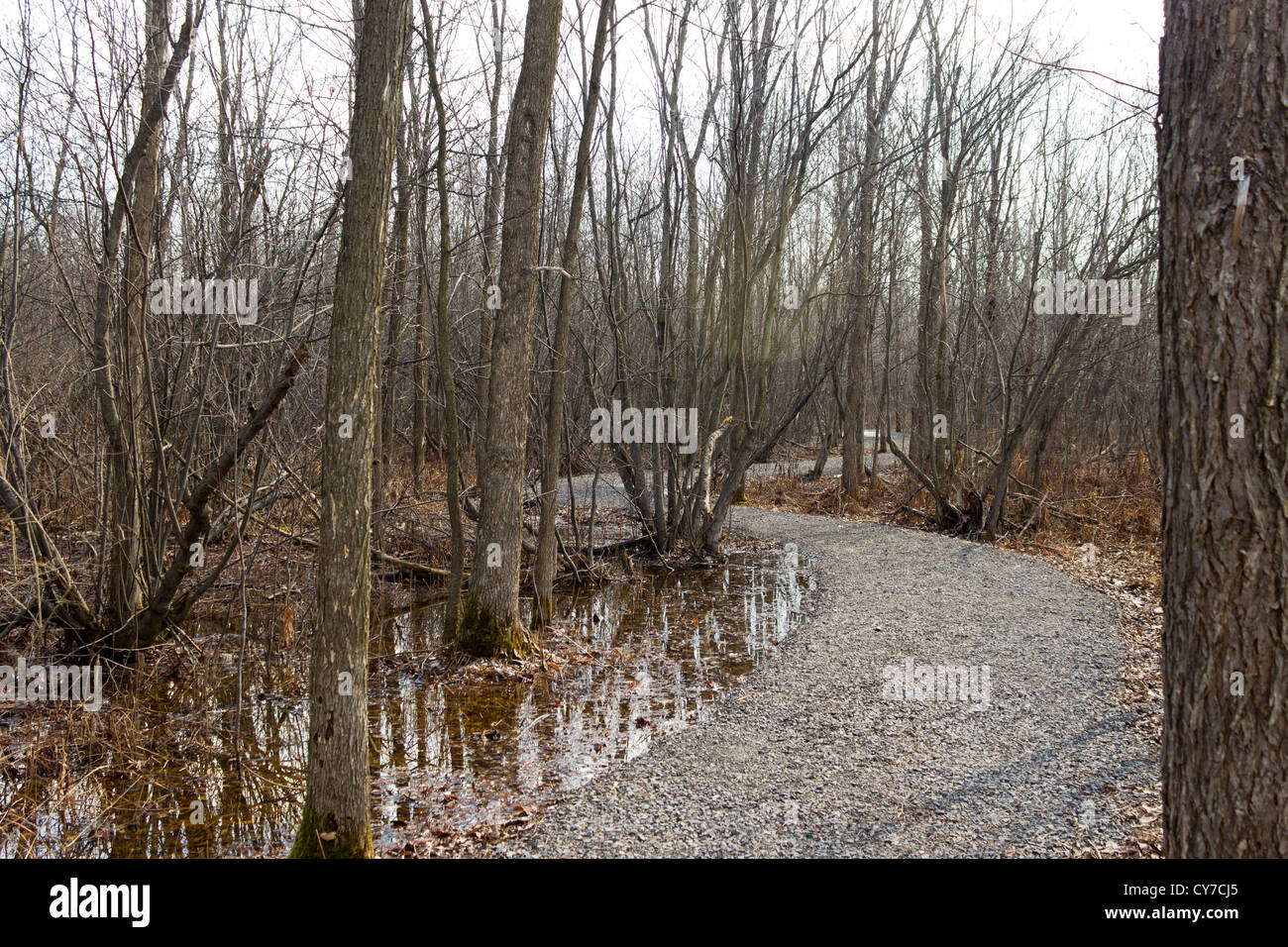 Nature trail in the park Stock Photo - Alamy